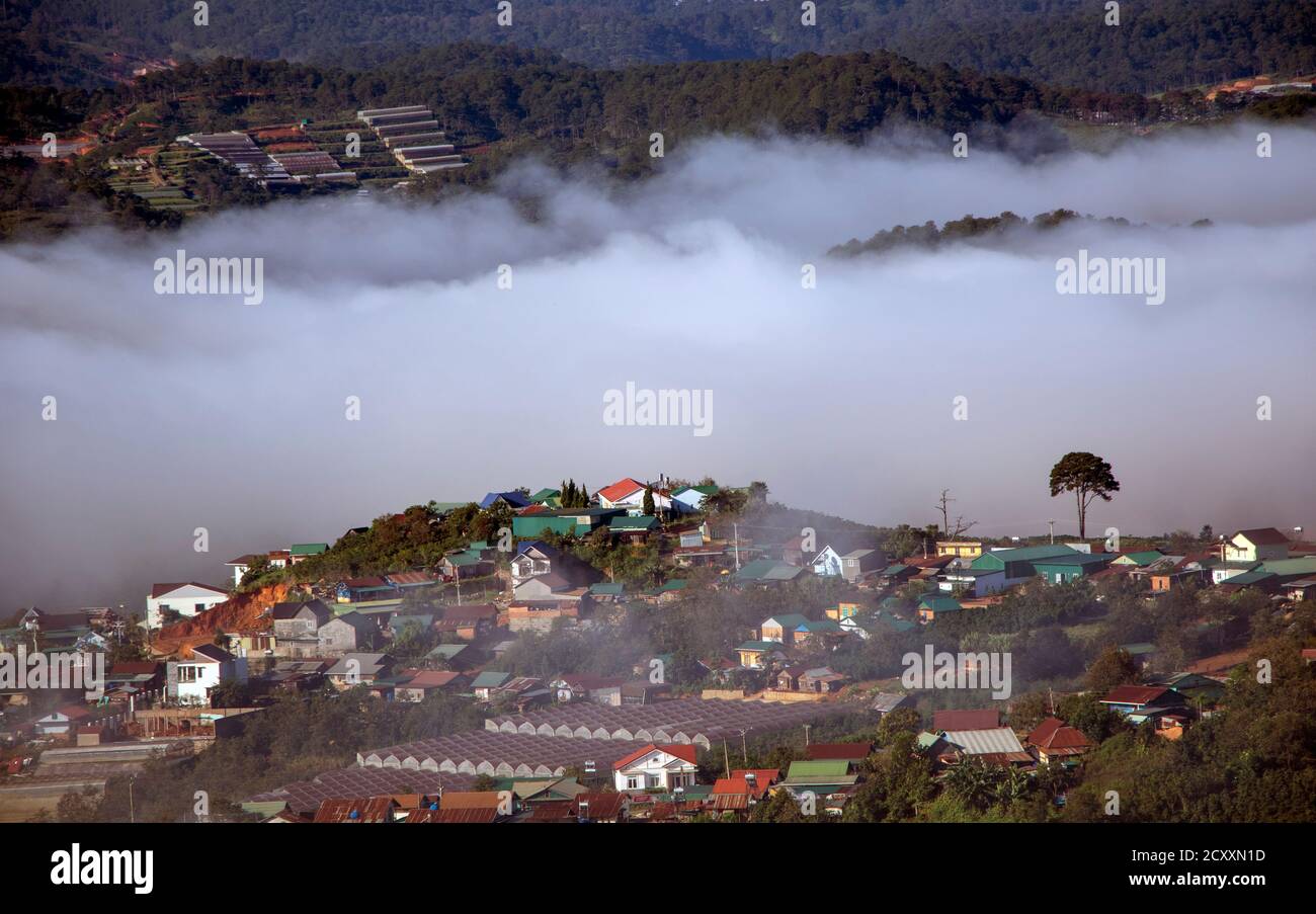 Cloudy fog on the forest of Dong Da Lat forest Stock Photo - Alamy