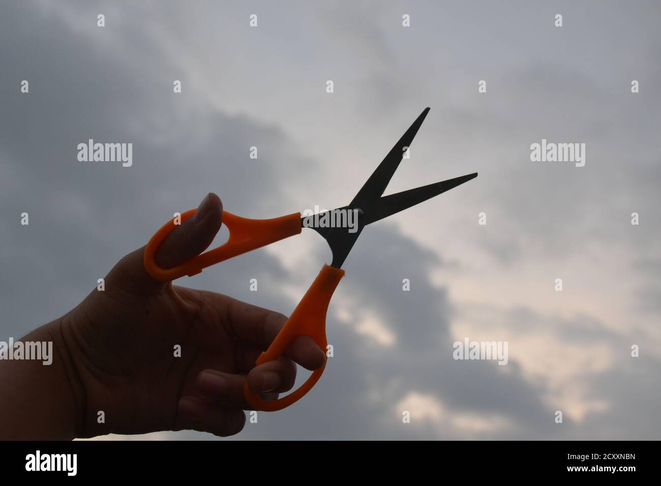 Different hand gestures. Human hands with different objects caring and ...