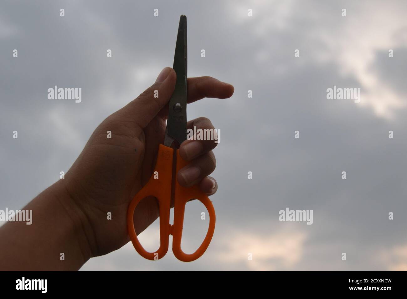 Different hand gestures. Human hands with different objects caring and ...