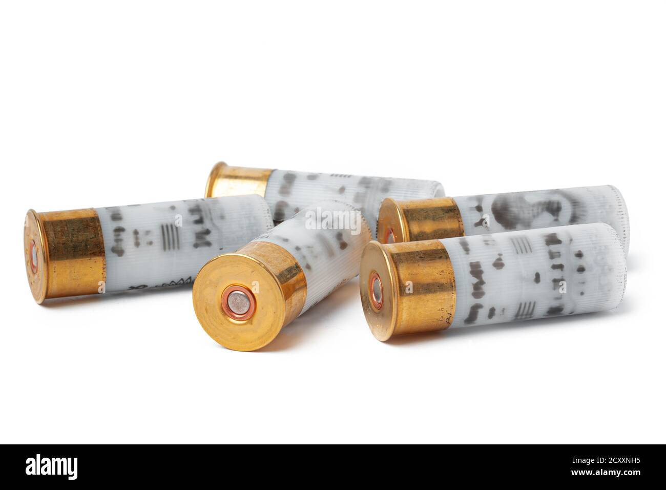 Shotgun shell cartridge isolated on white background Stock Photo - Alamy