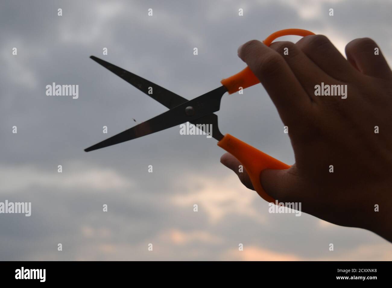 Different hand gestures. Human hands with different objects caring and ...