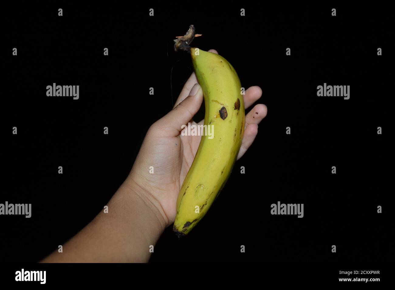 Different hand gestures. Human hands with different objects caring and ...