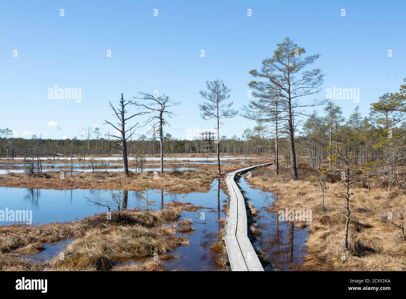 Winter ending. Estonia, Lahemaa National Park. Former Soviet ANtional ...