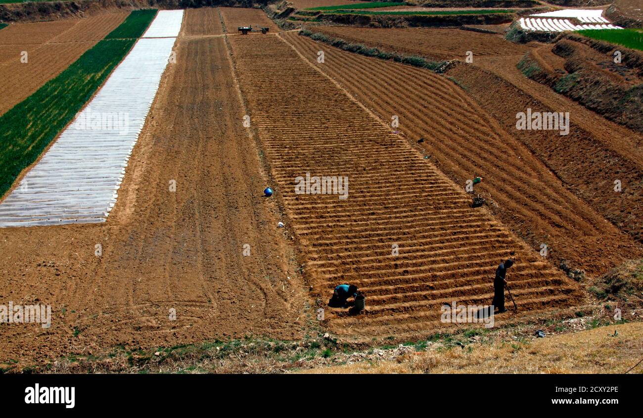Rural urbanization in china hi-res stock photography and images - Alamy