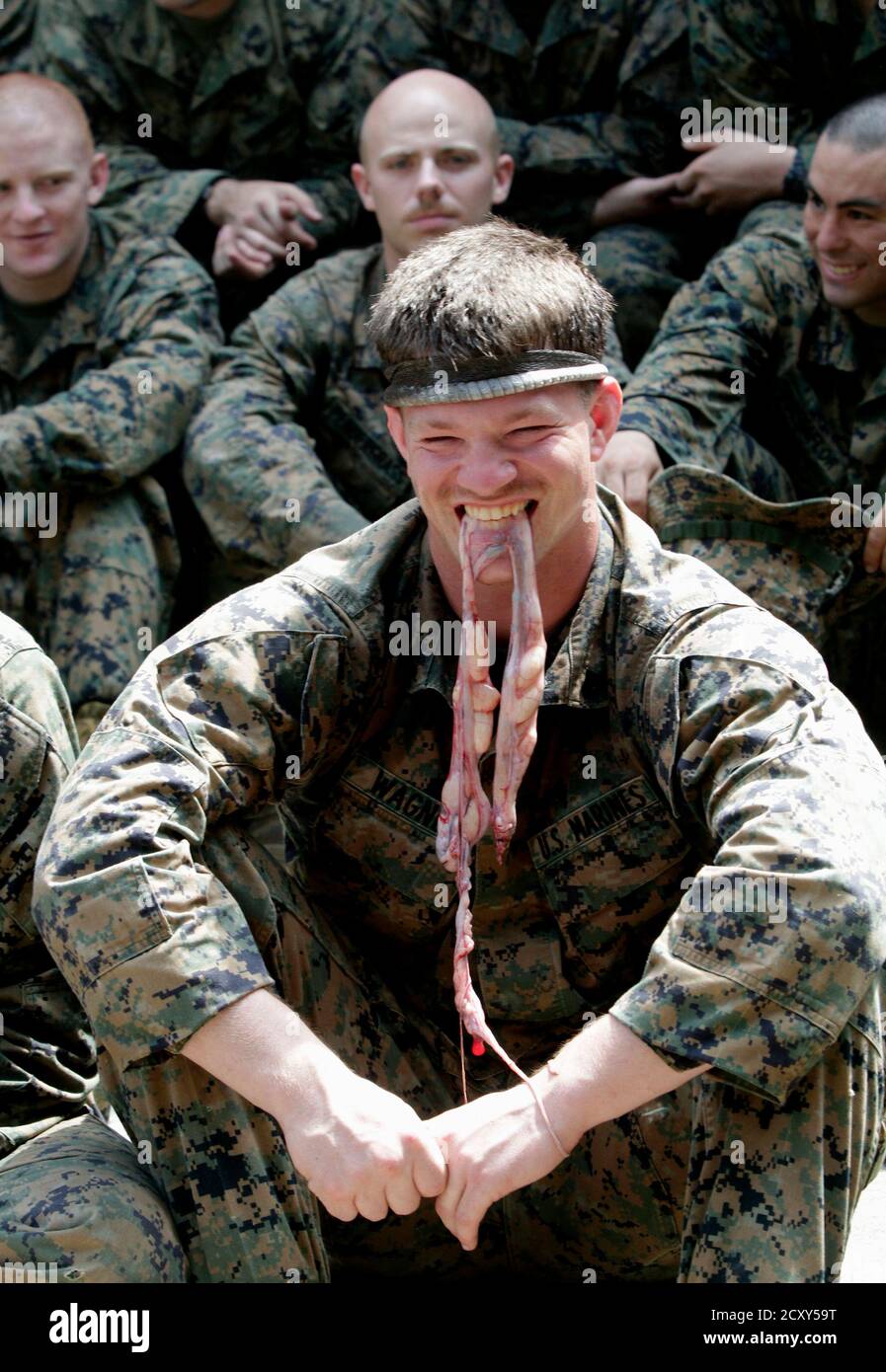 Joint snake hi-res stock photography and images - Alamy