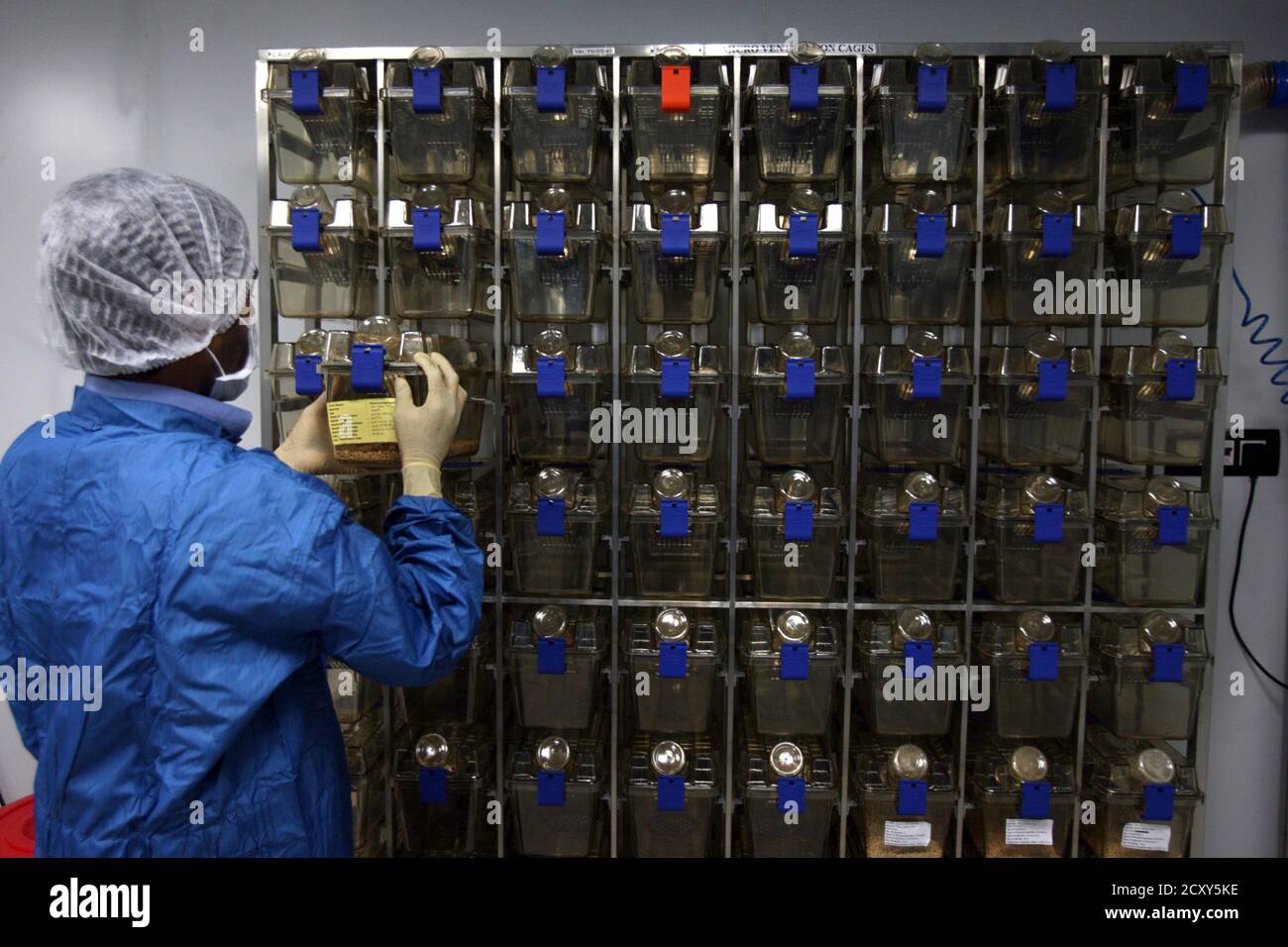 Bayer works hi-res stock photography and images - Alamy