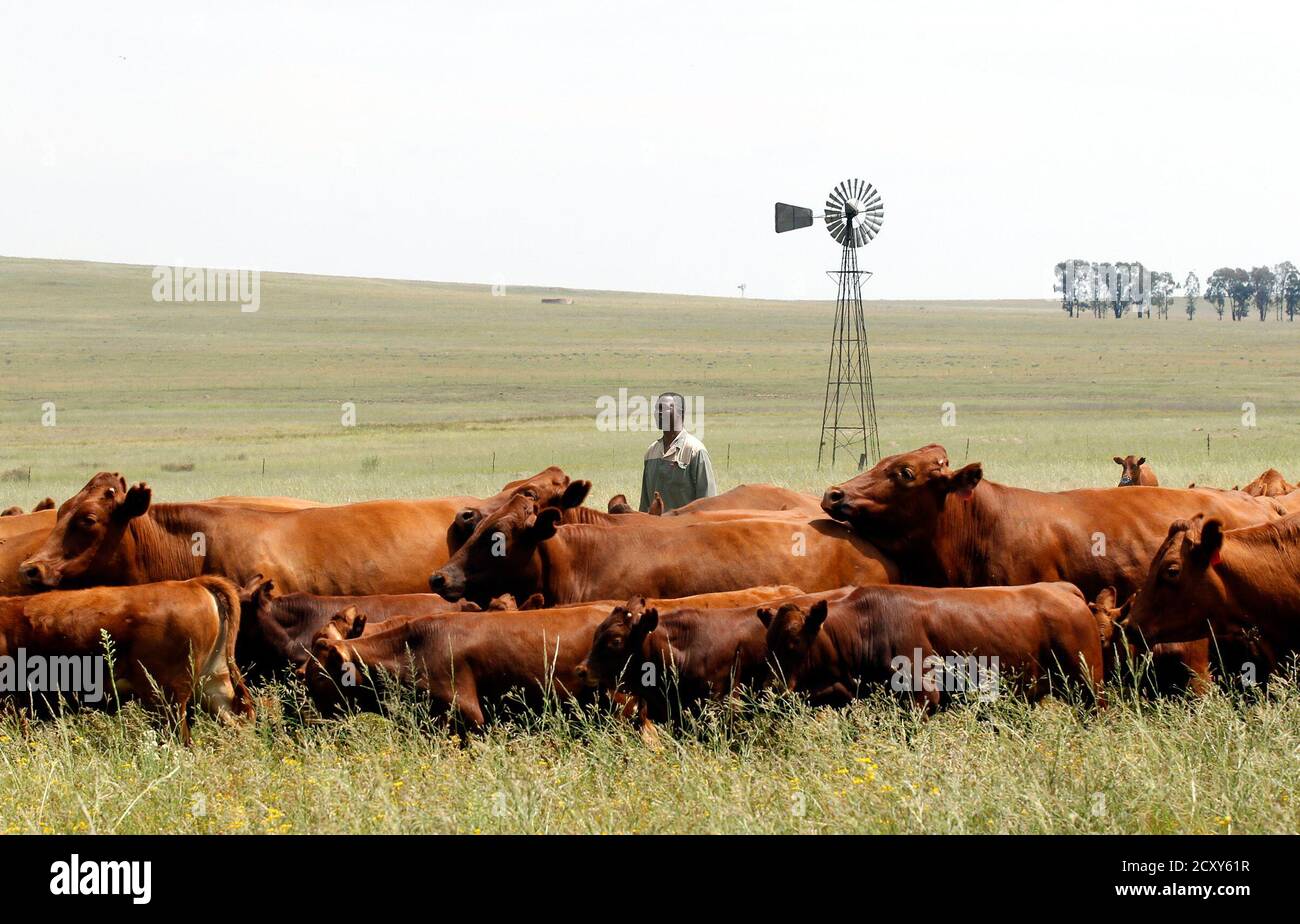 Native farm to school hi-res stock photography and images - Alamy