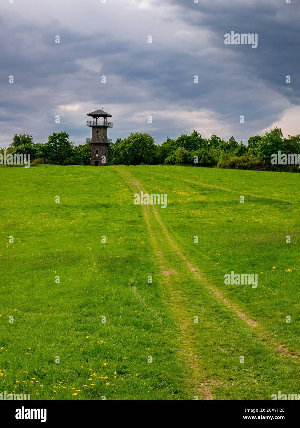 Meadow path leads to the lookout tower on the horizon Stock Photo - Alamy