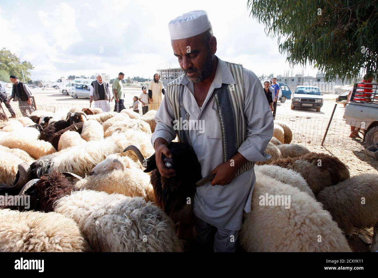 Animals for sacrifice eid africa hi-res stock photography and images ...