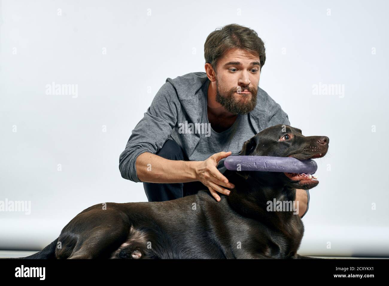 happy owner with pet black dog training model emotions Stock Photo - Alamy