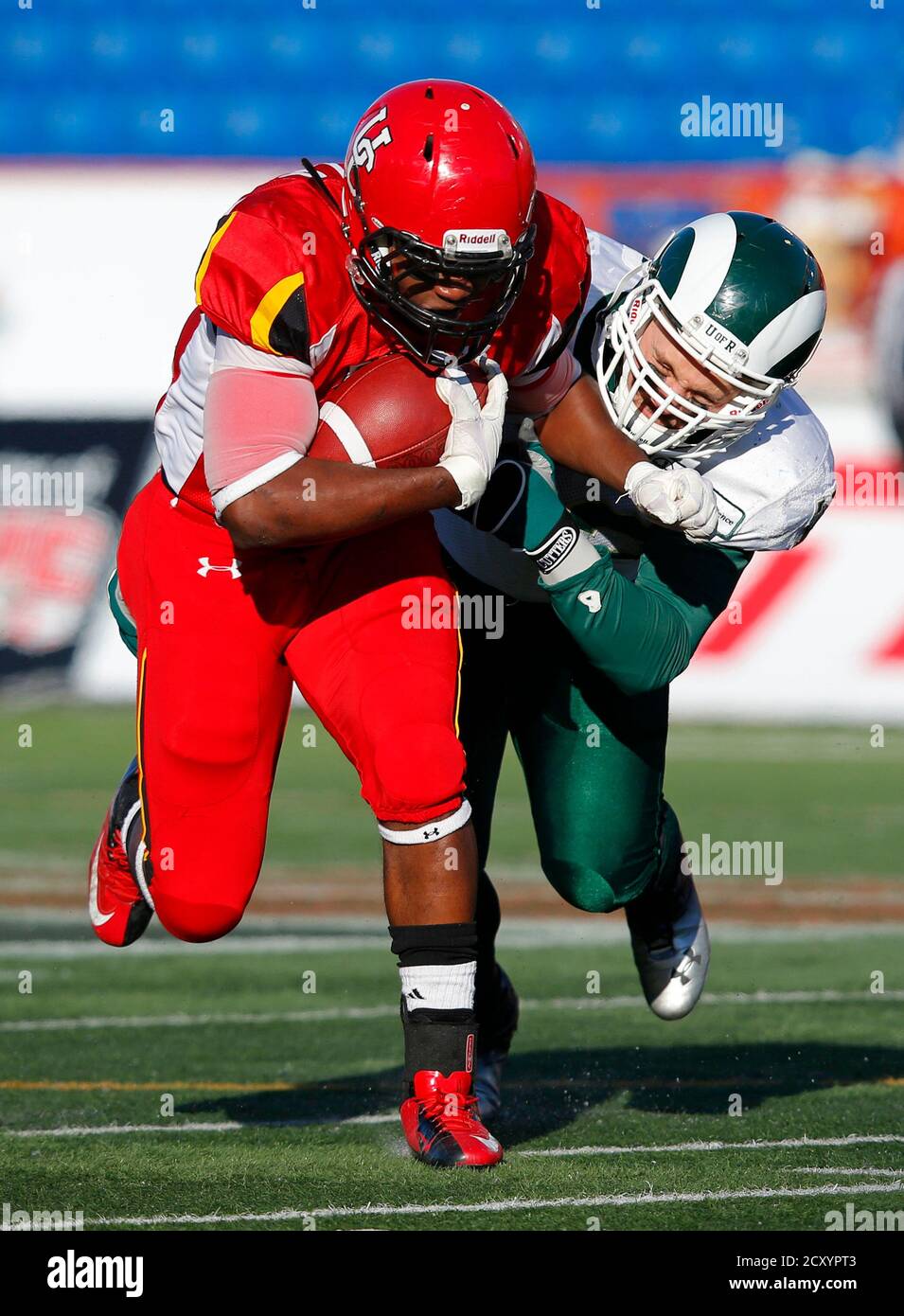 Hardy cup hi-res stock photography and images - Alamy