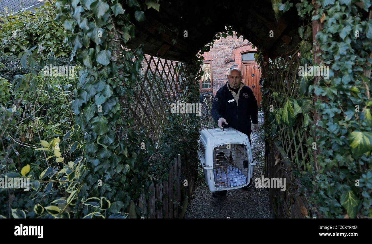 Curator of mammals at chester zoo tim rowlands at home hi-res stock ...