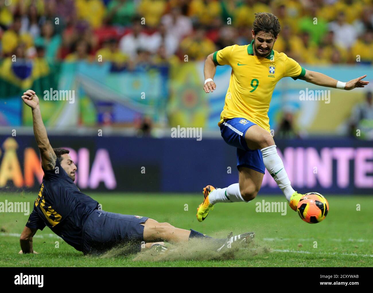 Pato brazil hi-res stock photography and images - Alamy
