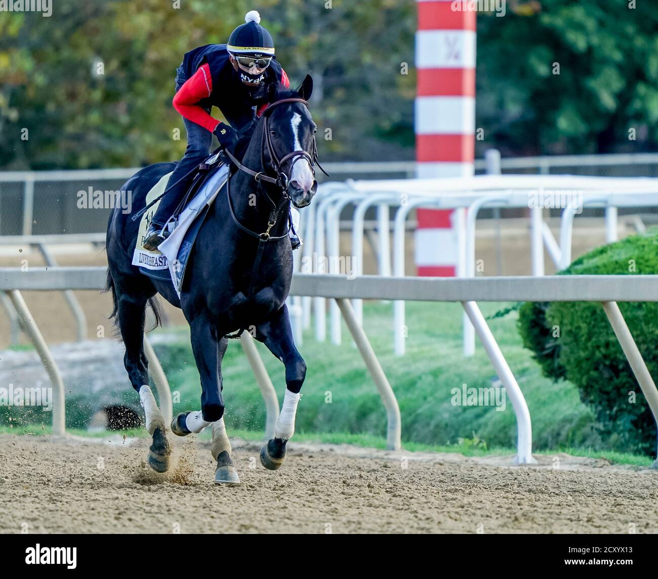 Baltimore, MD, USA. 1st Oct, 2020. October 1, 2020: Liveyourbeastlife ...