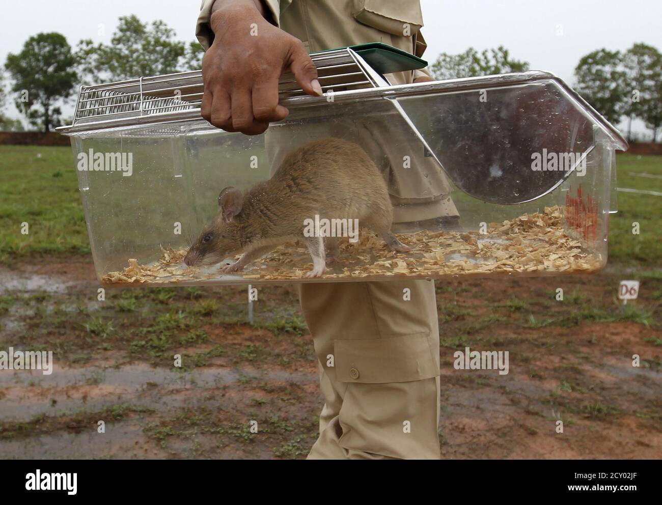 Littered field hi-res stock photography and images - Alamy