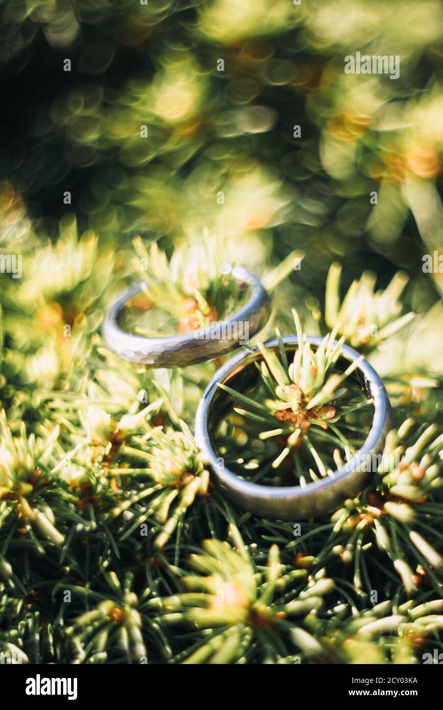 Commitment ceremony rings hi-res stock photography and images - Alamy