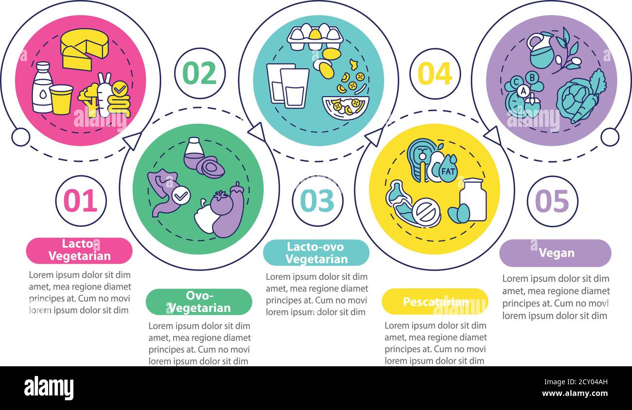 Types of vegetarian diets vector infographic template Stock Vector ...