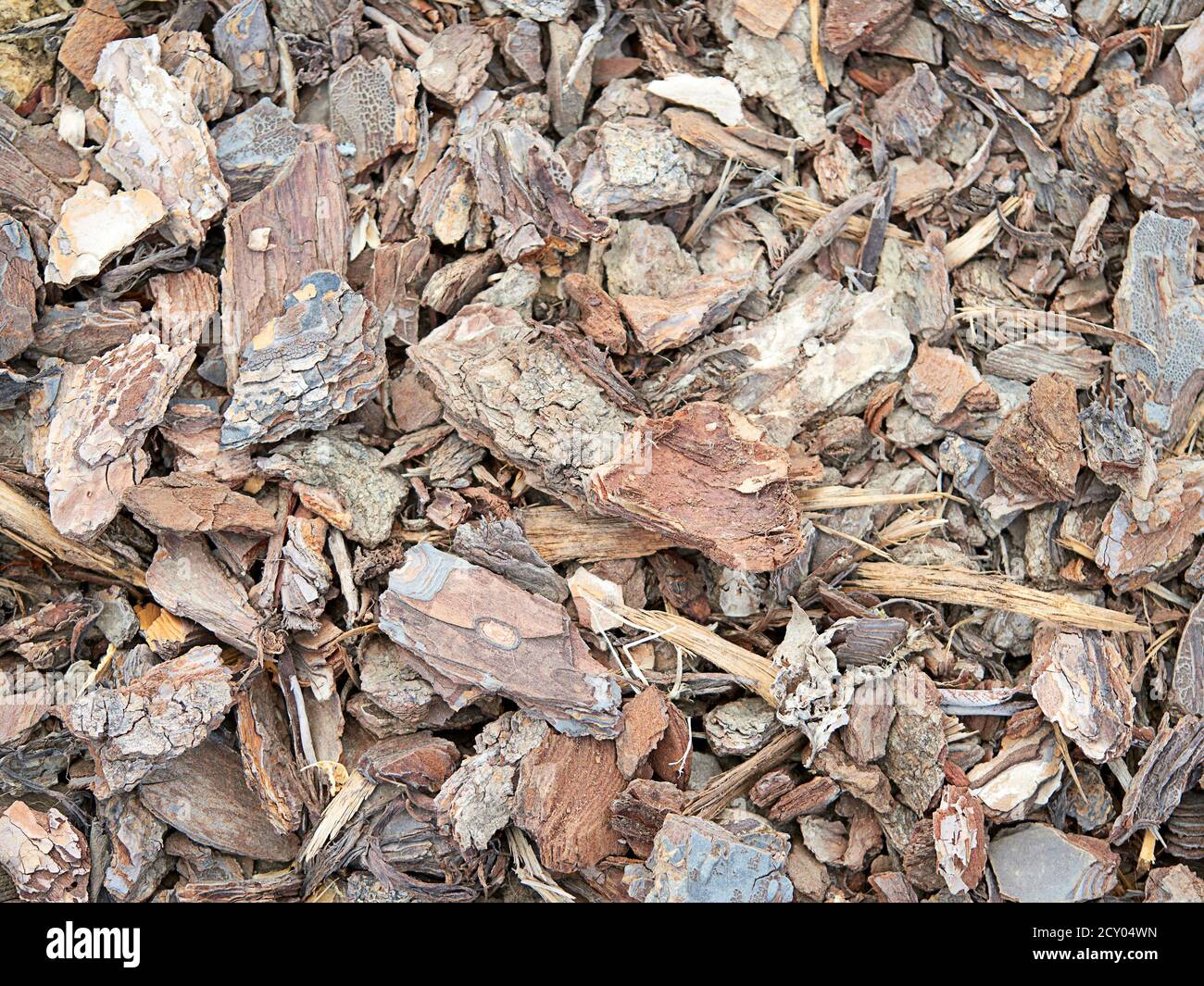 The original ecological nature hi-res stock photography and images - Alamy