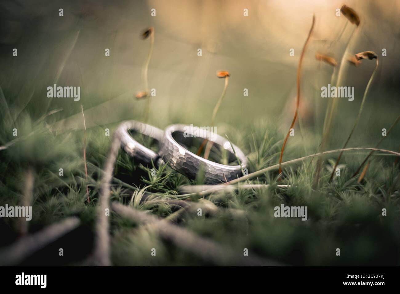 Commitment ceremony rings hi-res stock photography and images - Alamy