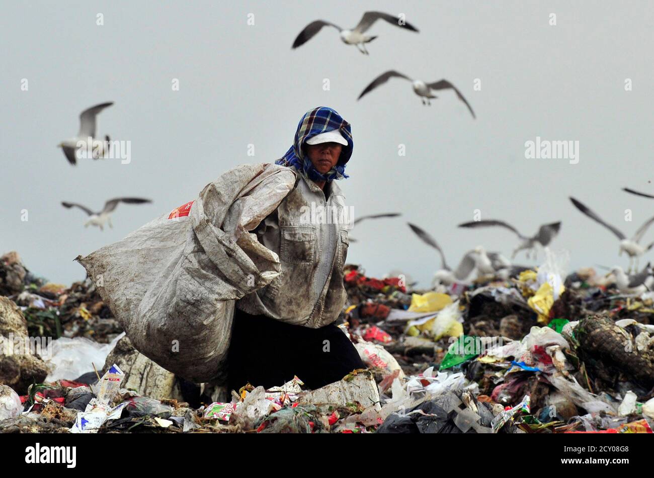 Food waste collector hi-res stock photography and images - Alamy