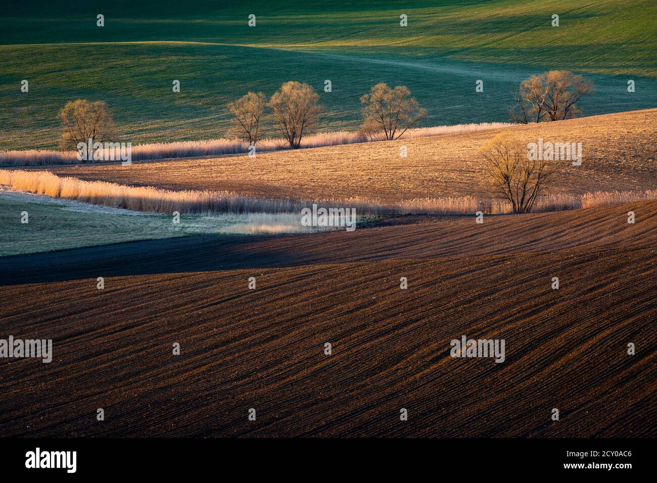 Trees in the fields of Turiec region in northern Slovakia Stock Photo ...