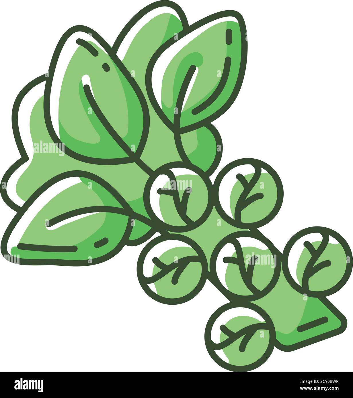 Brussels sprouts cabbage icon Stock Vector Images - Alamy