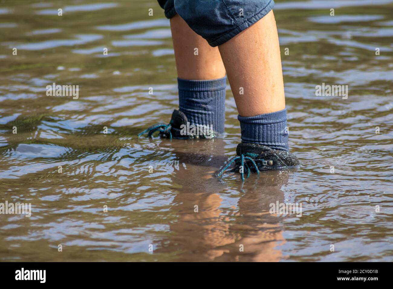 Woman wading through flood river hi-res stock photography and images ...