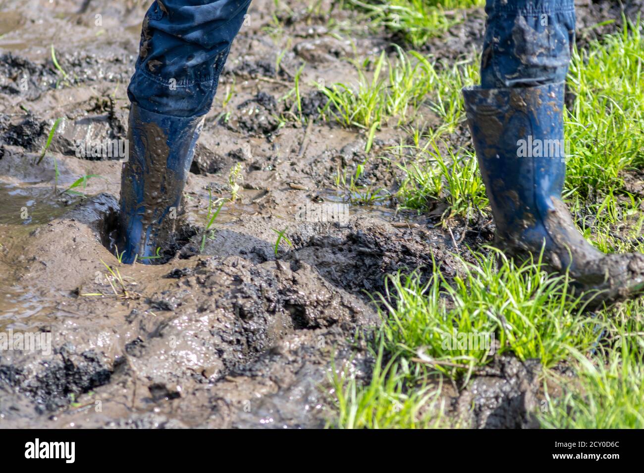 Woman wading through flood river hi-res stock photography and images ...