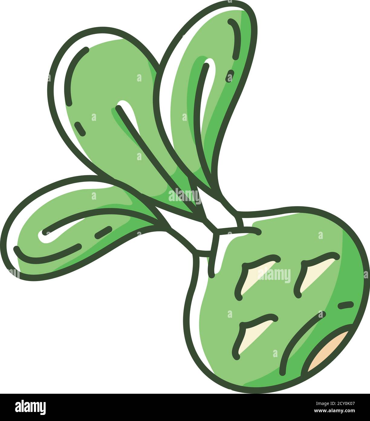 Kohlrabi RGB color icon Stock Vector Image & Art - Alamy