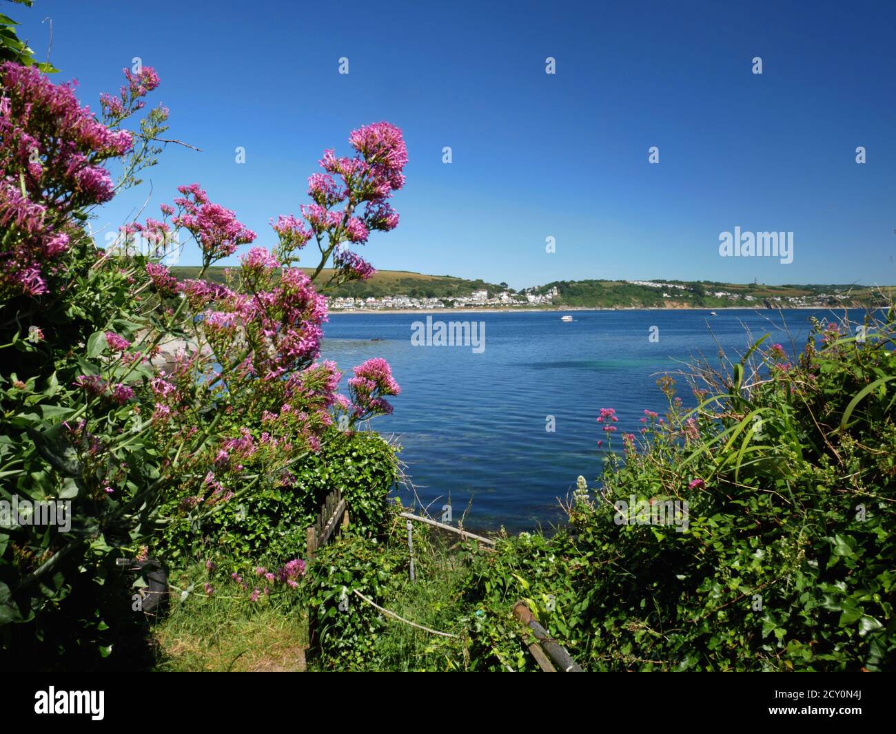 The town of Looe seen from St George's or Looe Island, Cornwall Stock ...