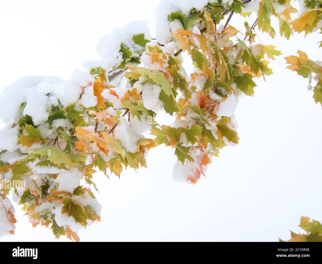 Snow fall illustration hi-res stock photography and images - Alamy