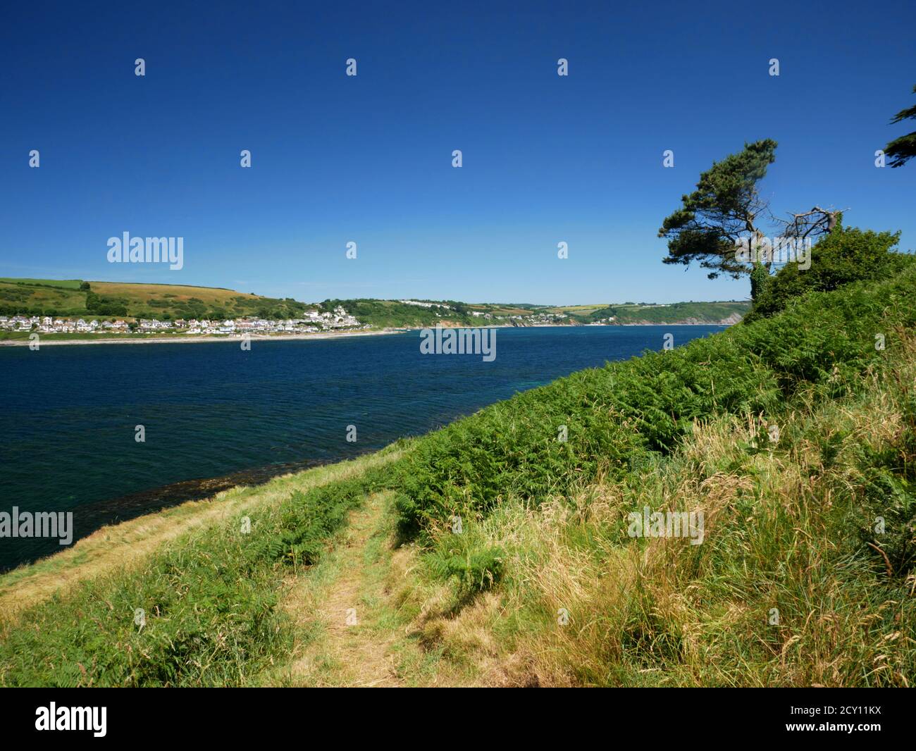 Looe seen from the north facing side of St George's or Looe Island ...