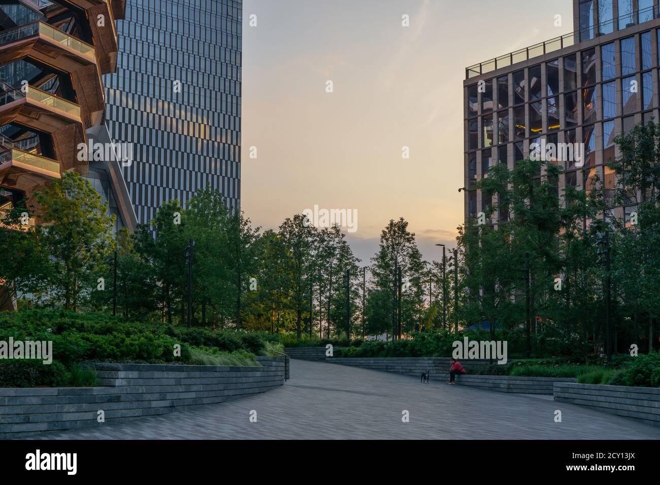 lady sitting with a dig between office buildings and trees. Sunset in ...