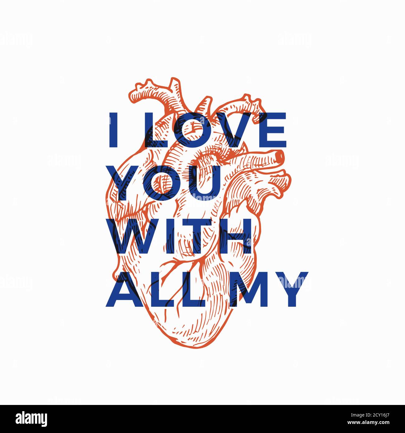 Heart anatomical print illustration Cut Out Stock Images & Pictures - Alamy