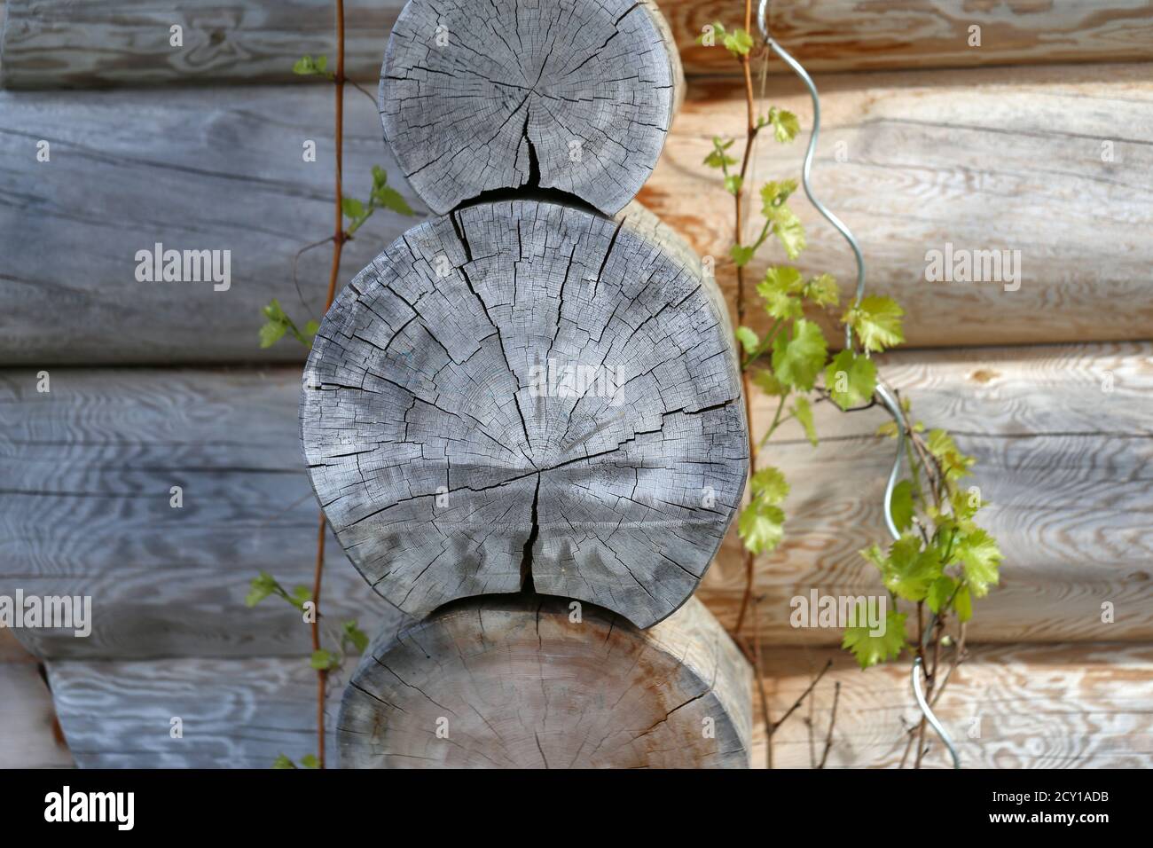 Wooden logs on each other at daytime Stock Photo - Alamy