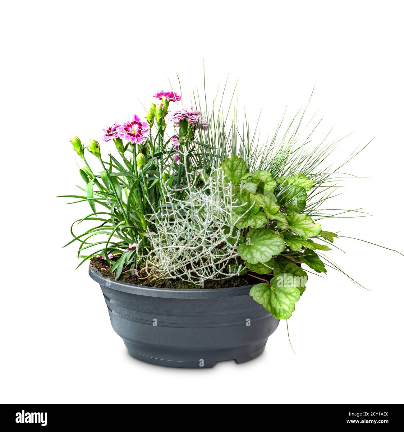 Floral composition with spring flowers on white background Stock Photo ...