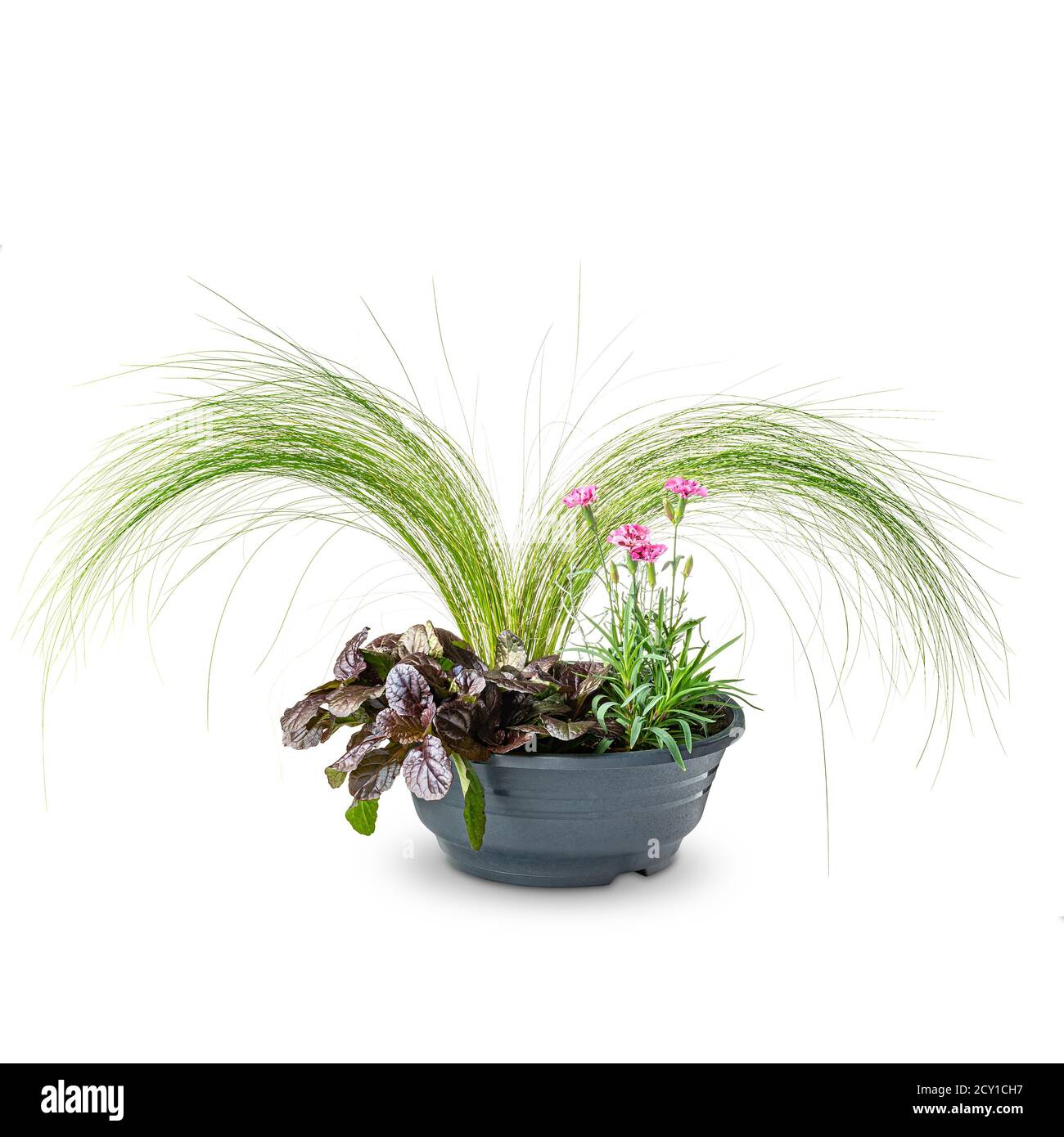 Pot composition hi-res stock photography and images - Alamy