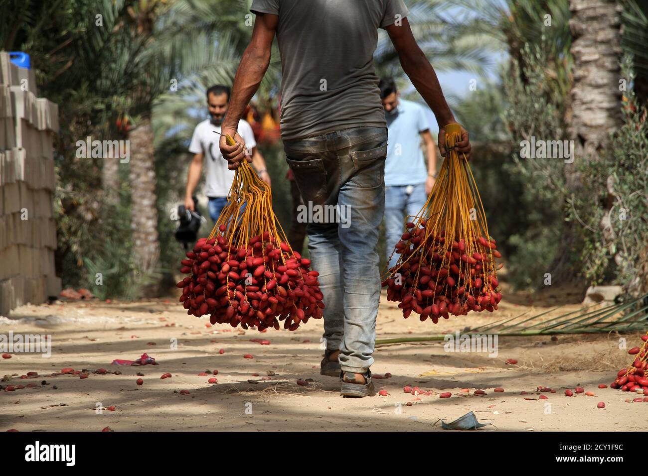 Deir al balah town hi-res stock photography and images - Alamy