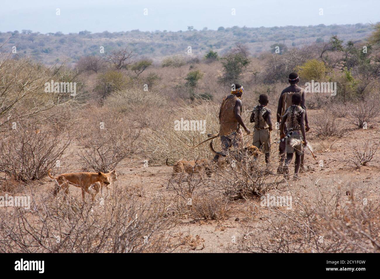 A group of hunters,The Hadza, or Hadzabe - are an indigenous ethnic ...