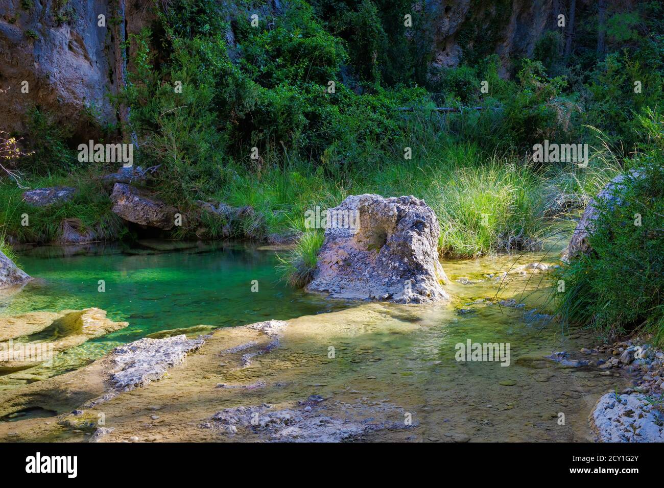 Transparent small fish hi-res stock photography and images - Alamy