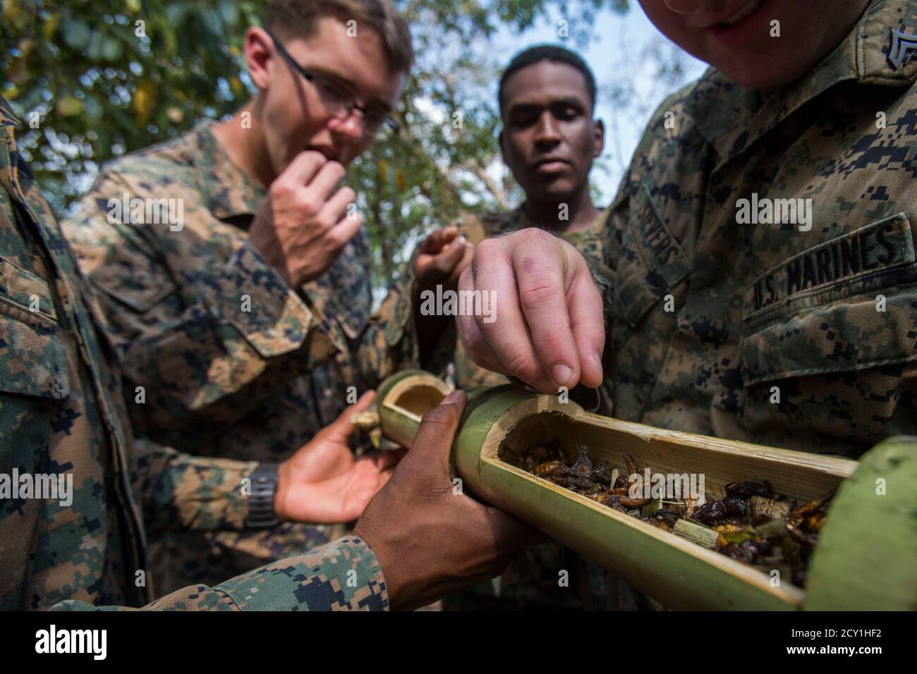 Bugs soldiers hi-res stock photography and images - Alamy