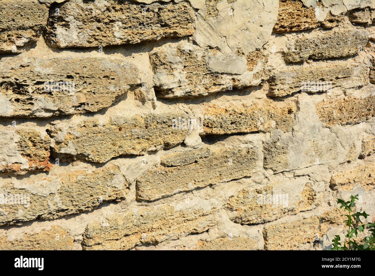 Building with Coquina Stone. Coquina Stone & Coral Stone Tiles. Wall of ...