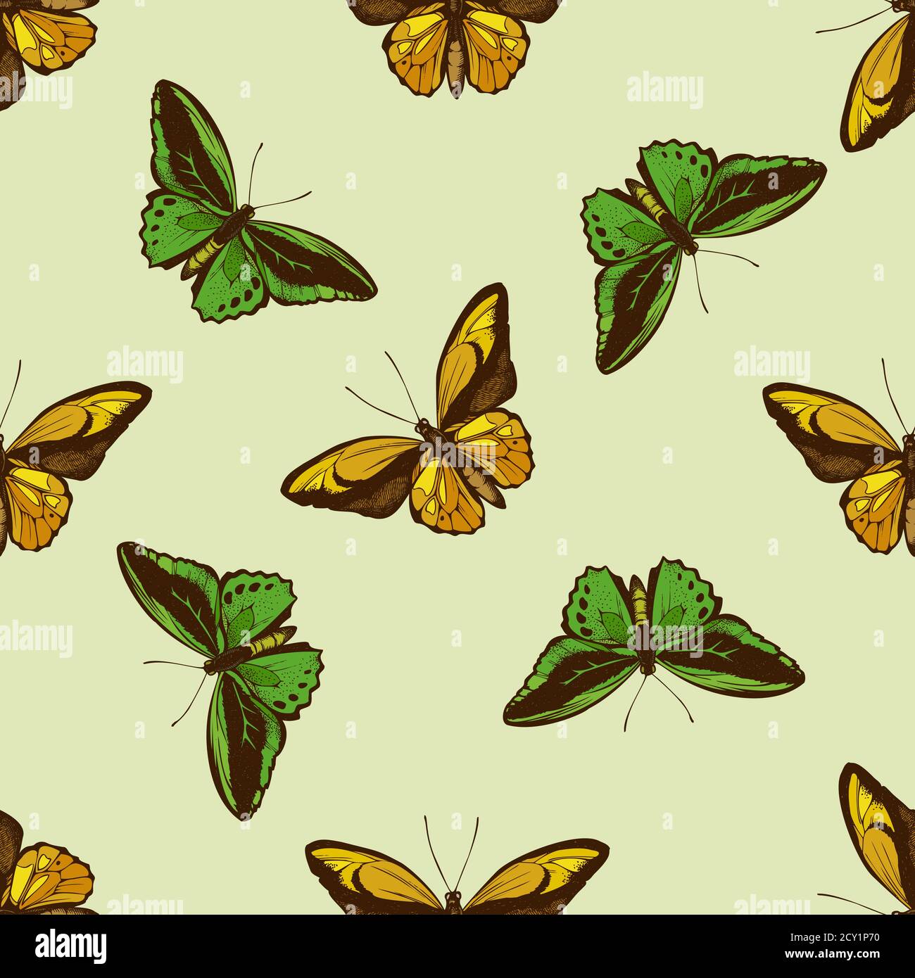 Seamless pattern with hand drawn colored common green birdwing, wallace ...