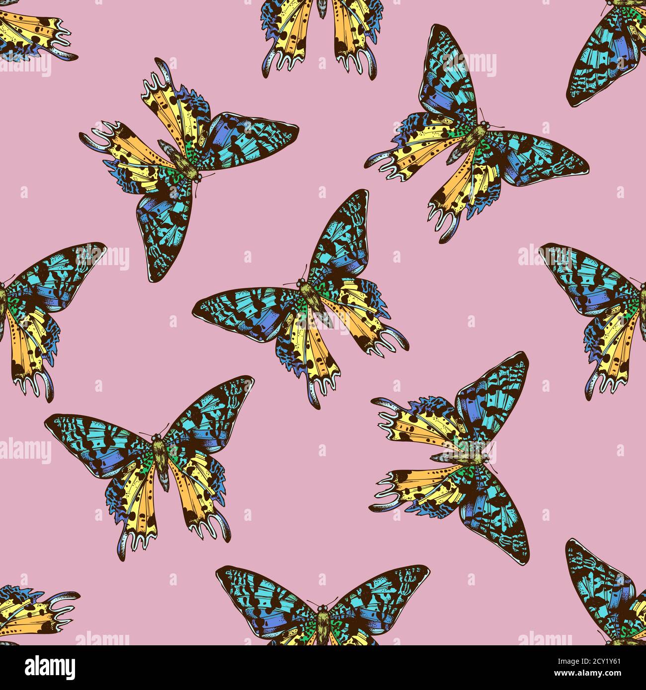 Seamless pattern with hand drawn colored madagascan sunset moth Stock ...