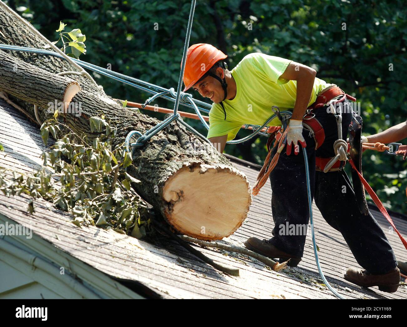 Tree limb removal hi-res stock photography and images - Alamy