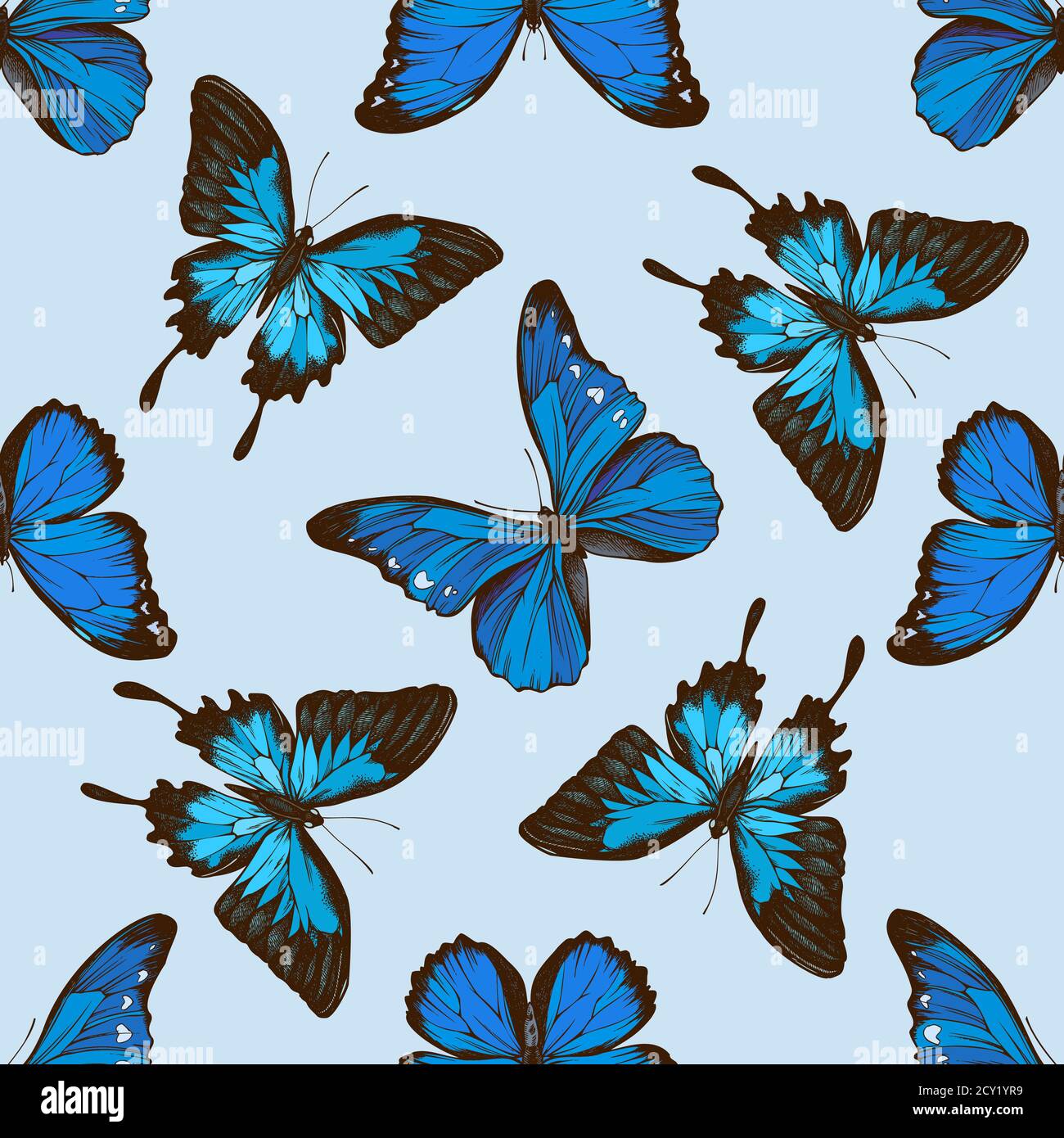 Seamless pattern with hand drawn colored blue emperor, menelaus blue ...