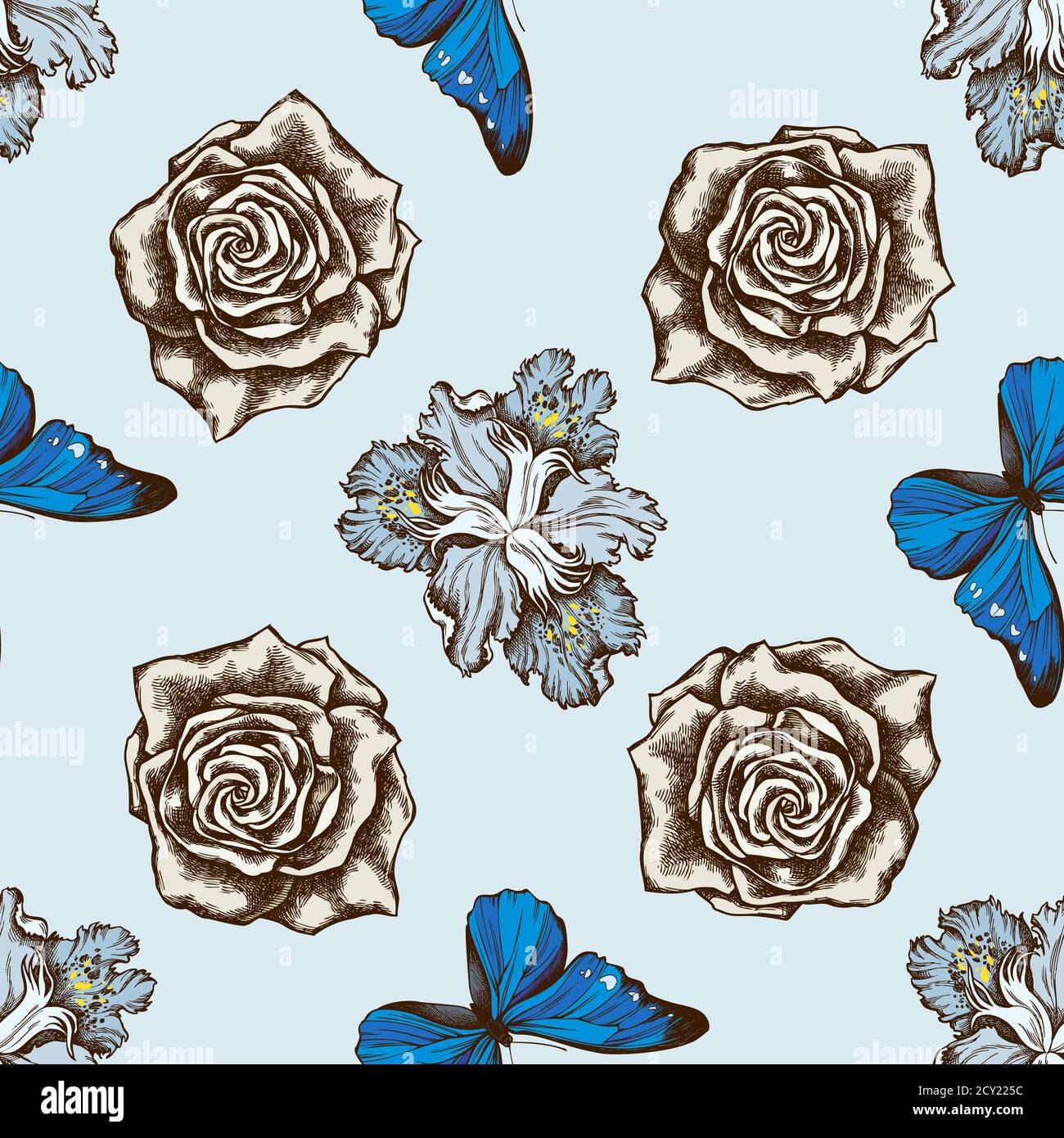 Seamless pattern with hand drawn colored iris japonica, blue morpho ...