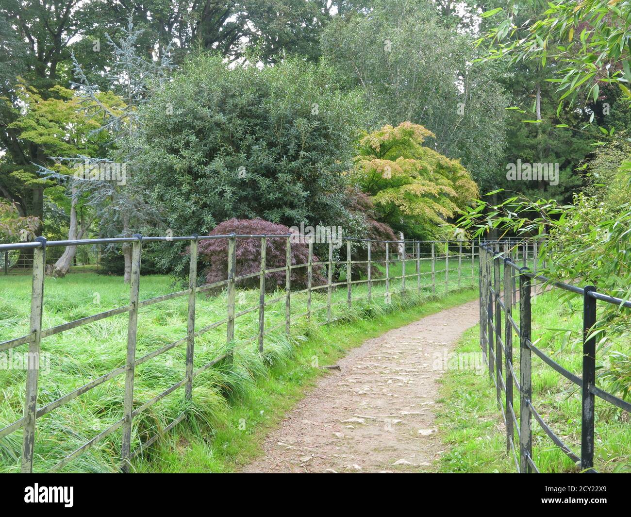A path edged with metal railings leads into the trees at Batsford ...