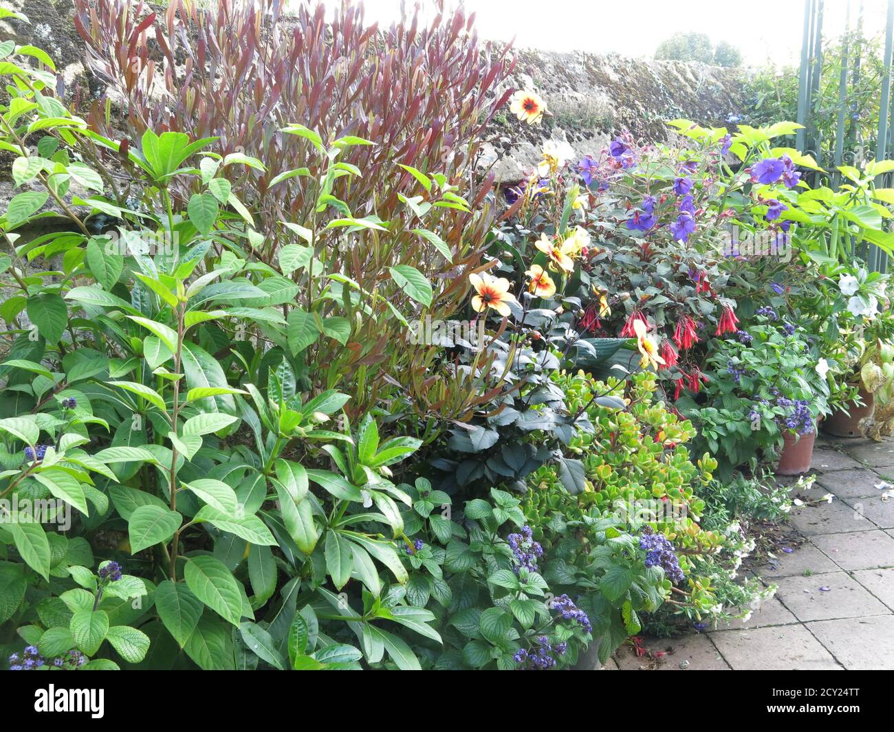 A richly planted flower border in the gardens at Bourton House, an ...
