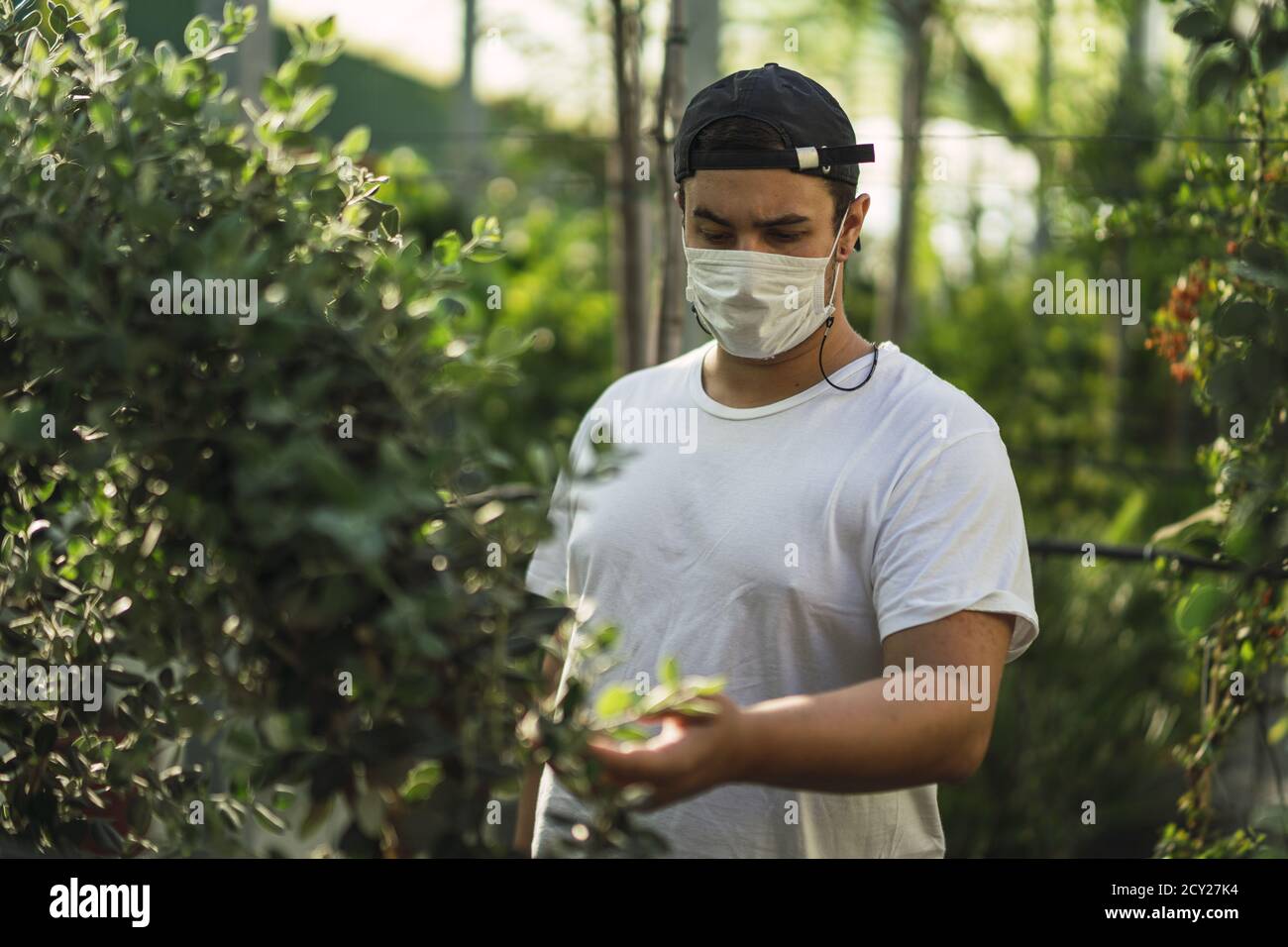 Young Caucasian male walking near green plantations with medical mask ...